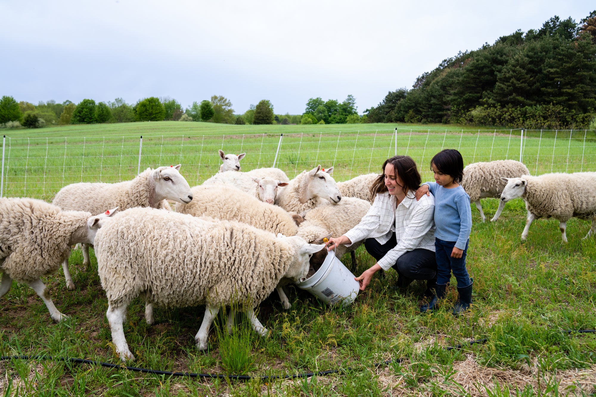 Tiger Valley Ranch | Fennville MI Pastured Meat
